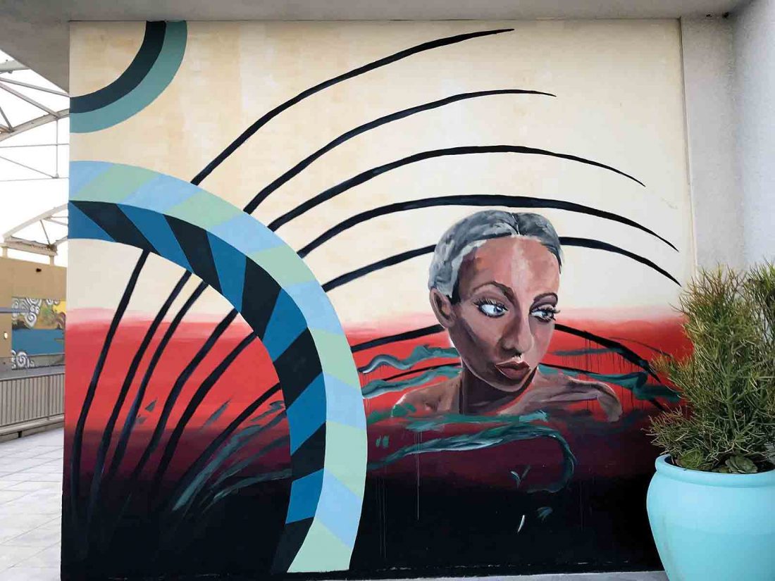 Former nurse Allison Butcher focuses on painting | News, Sports, Jobs ...